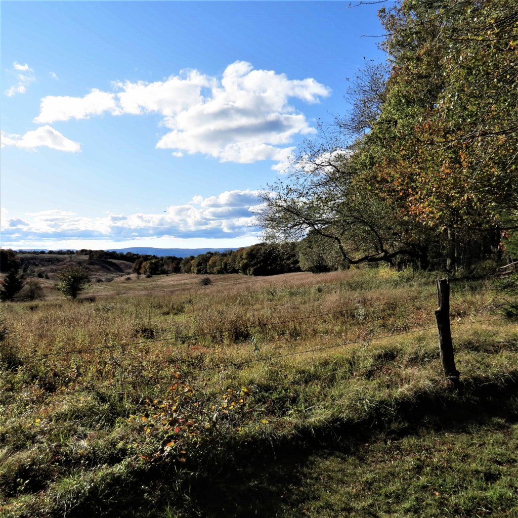 The Battle of Camp Allegheny – A Civil War Traveler