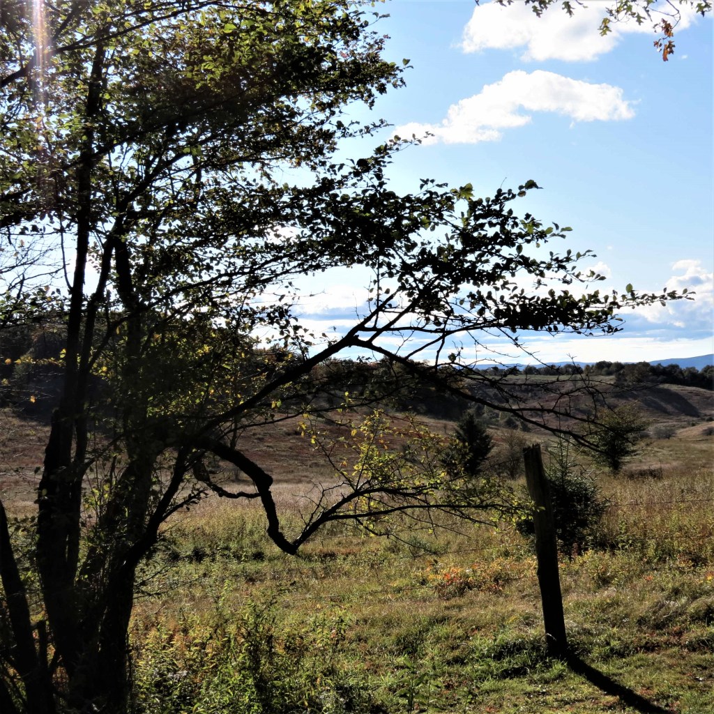 The Battle of Camp Allegheny – A Civil War Traveler